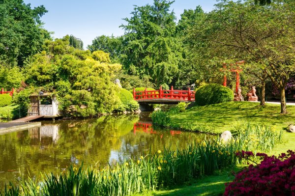 The best zoos in Europe | NS International