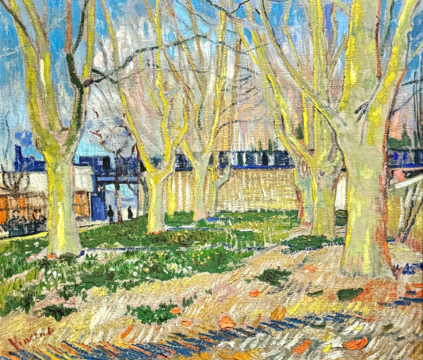 To Arles and Saint-Rémy-de-Provence | NS International