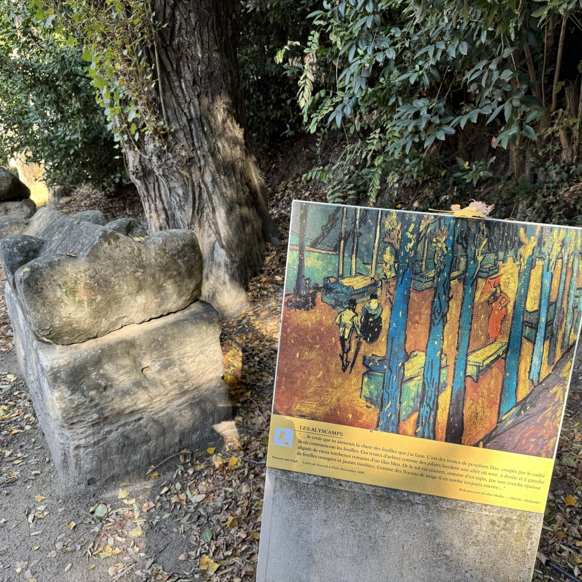 Naar Arles en Saint-Rémy-de-Provence | NS International